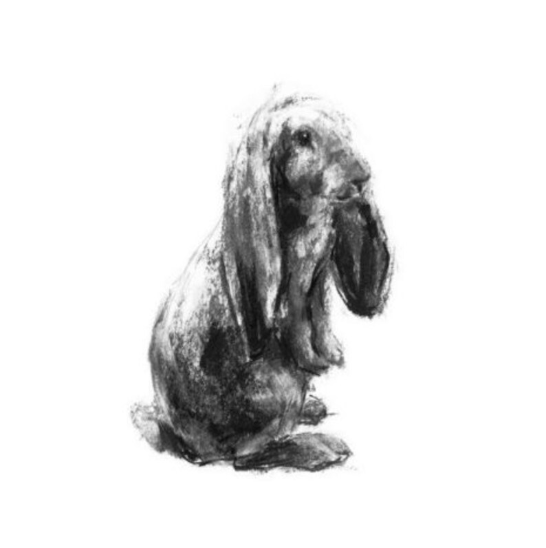 Rabbit Drawing Print Lop Eared Bunny Art Print From a - Etsy