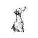 Dog Drawing Print, Lurcher listener Fine Art Dog Print Lurcher Gift ...