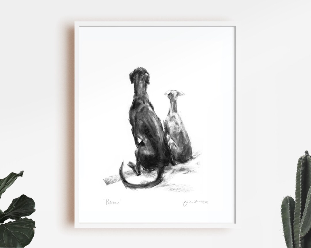 Dog Drawing Print, Patience - Two Lurchers - Fine Art Dog Print - Fine ...
