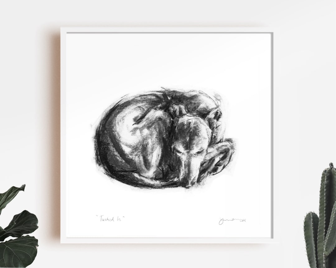 Dog Drawing Print, Whippet Curled up - Fine Art Dog Print - Whippet ...