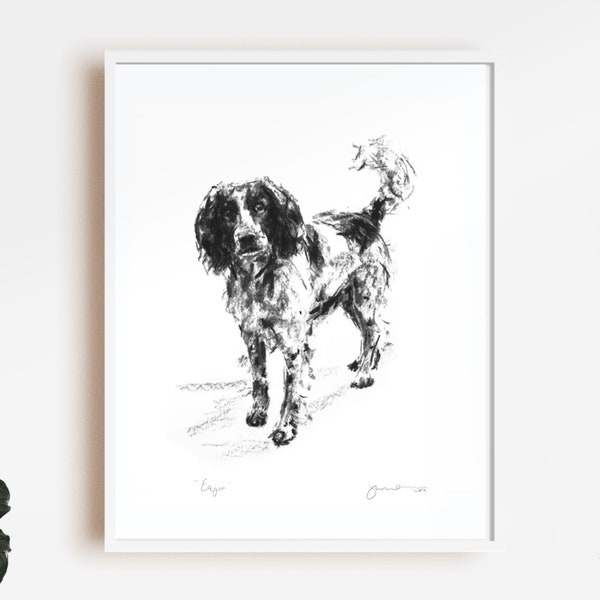 Springer Spaniel Art - Etsy