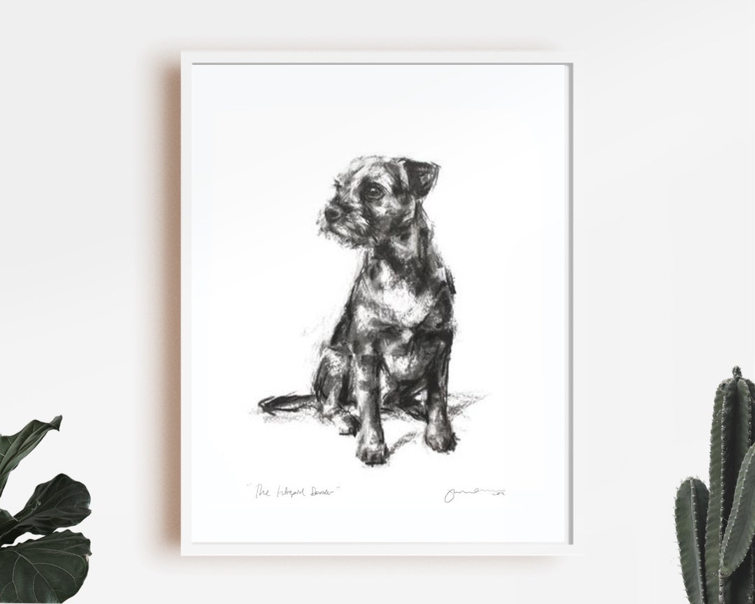Dog Drawing Print, Border Terrier Dog Art Print - From a Charcoal ...