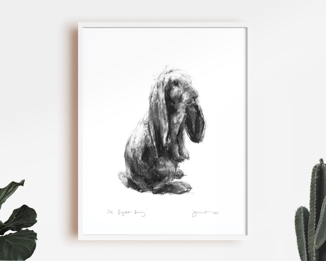Rabbit Drawing Print Lop Eared Bunny Art Print From a - Etsy