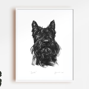 Dog Drawing Print, Scottie Dog Drawing - Fine Art Dog Print - Scottie ...