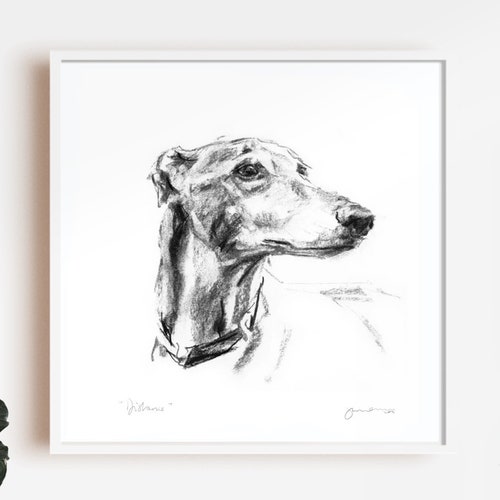 Greyhound Art Poster Large print Greyhound Fine Art Print sighthounds ...