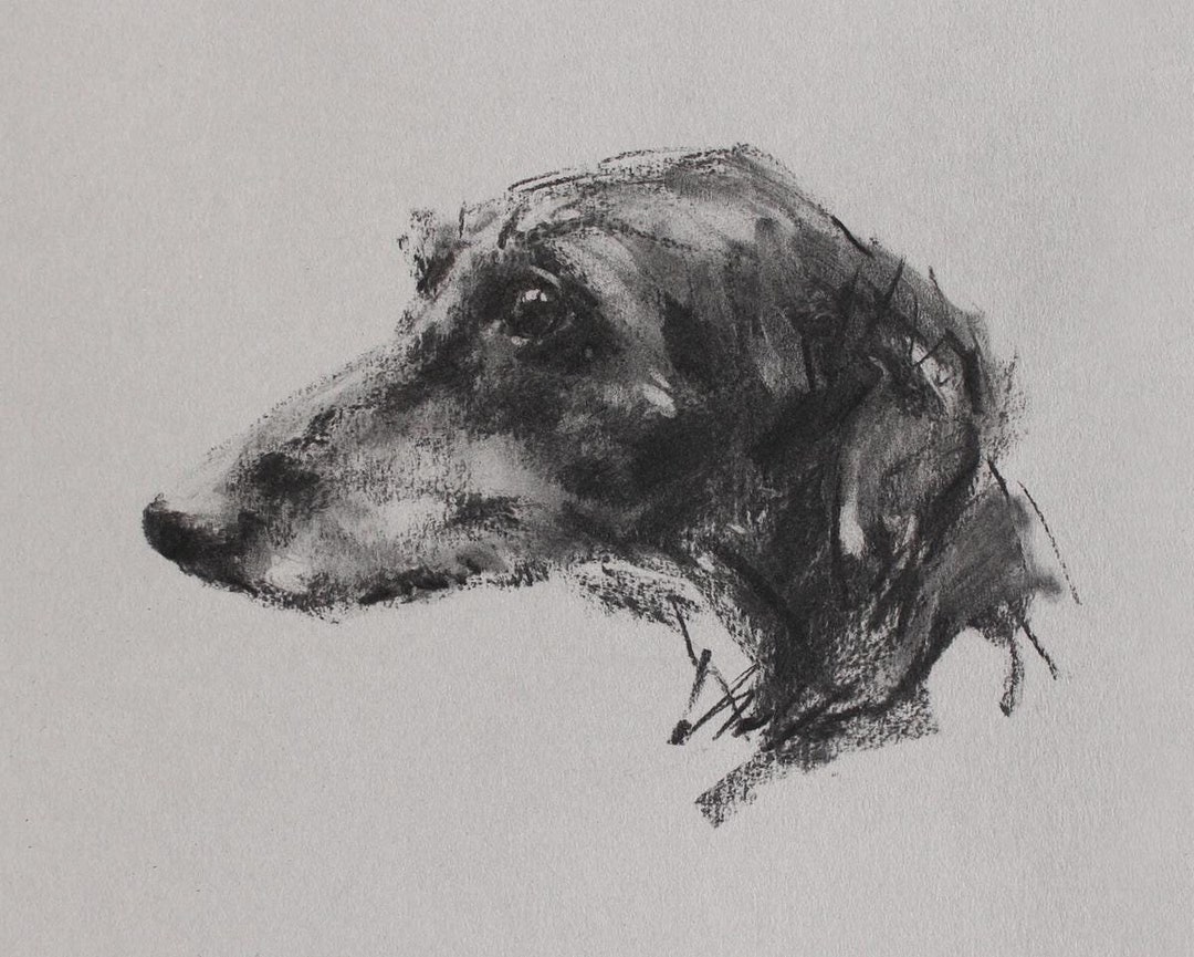 Sighthound Drawing, Lurcher Fine Art Art Dog Sketch Lurcher Gift ...