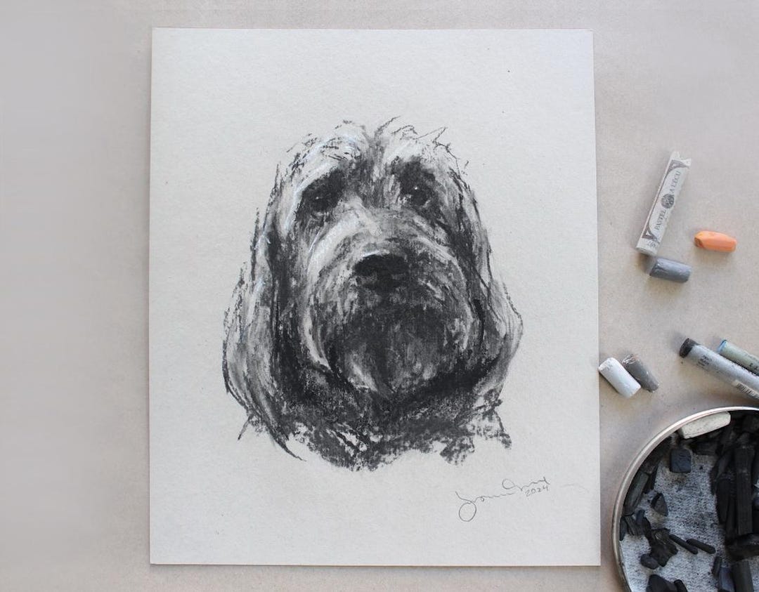 Labradoodle Drawing, Labradoodle Sketch, Labradoodle Fine Art ...