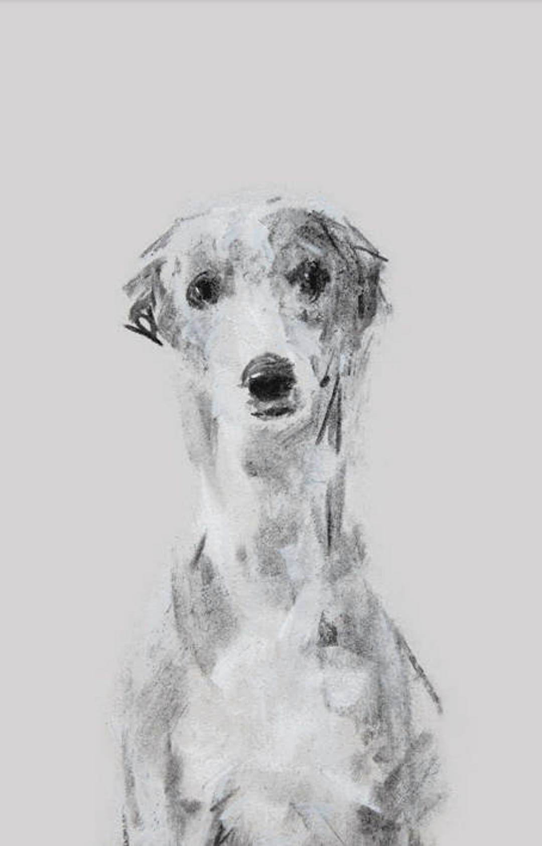 Dog Drawing Print, Whippet Grey Charcoal Drawing Fine Art Dog Print ...
