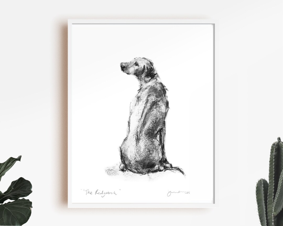 Rhodesian Ridgeback Sketch - Fine Art Dog Print - Ridgeback Gift ...