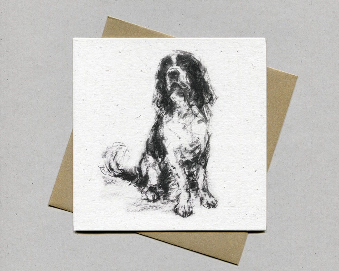 Springer Spaniel Card, Spaniel Greetings Card - Springer Spaniel Gift ...