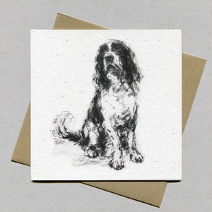Springer Spaniel Card, Spaniel Greetings Card - Springer Spaniel Gift ...