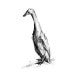 Duck Drawing Print, Runner Duck Sketch Fine Art Print Duck Drawing Duck ...