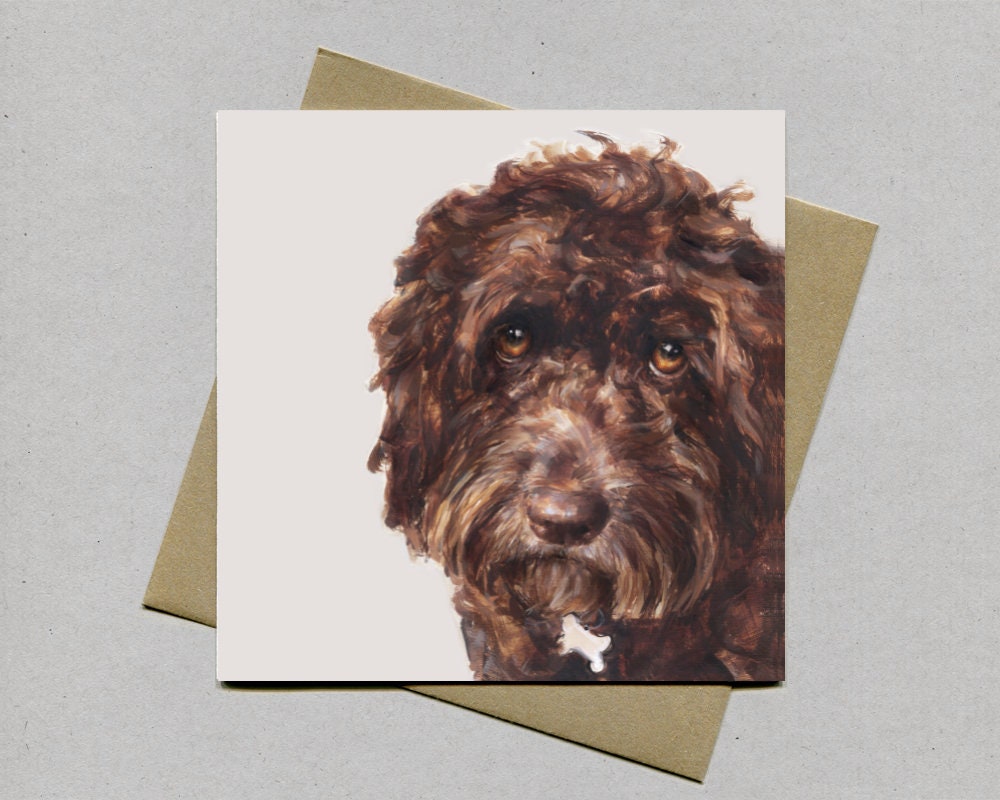 Cockapoo Chocolate Brown