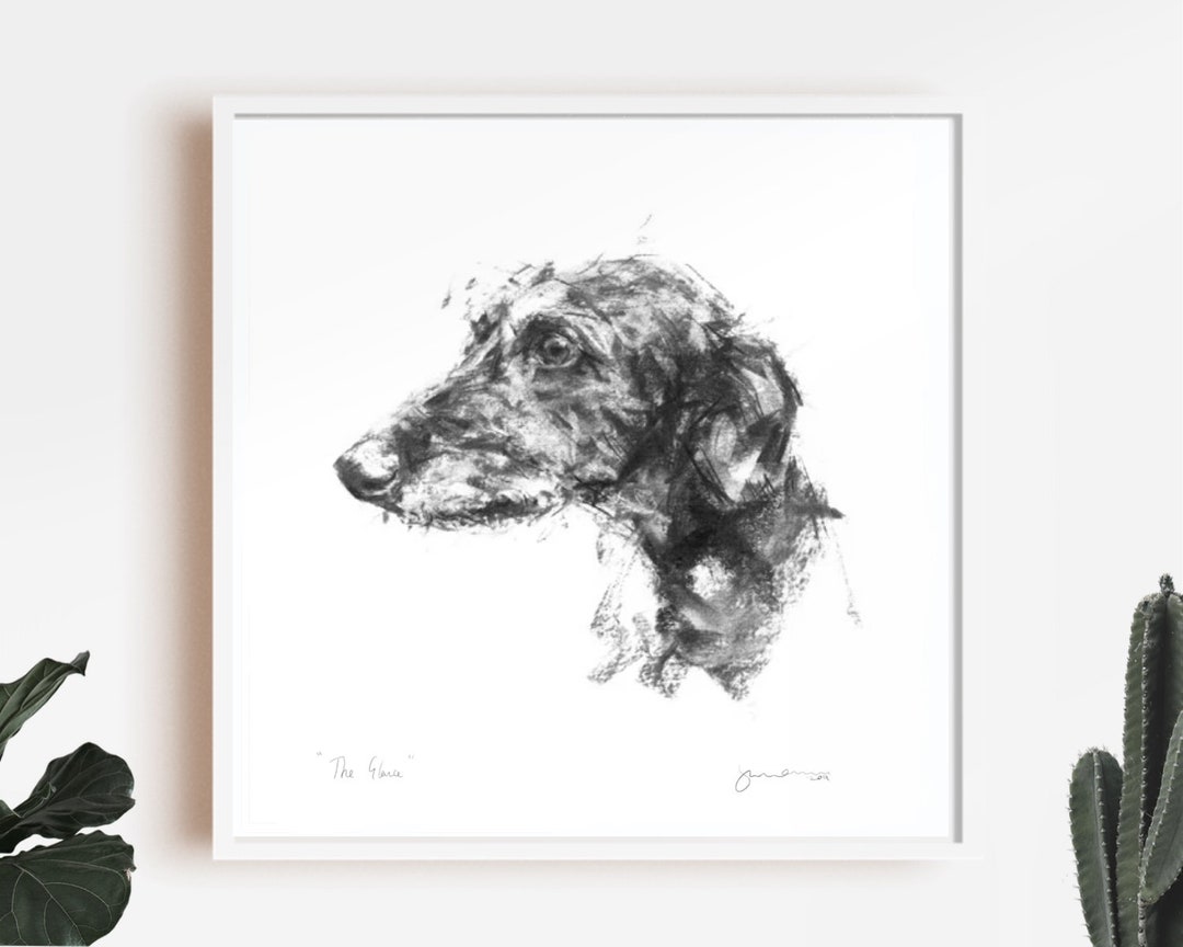 Scruffy Lurcher "the Glance" - Fine Art Dog Print - Lurcher Sighthound ...