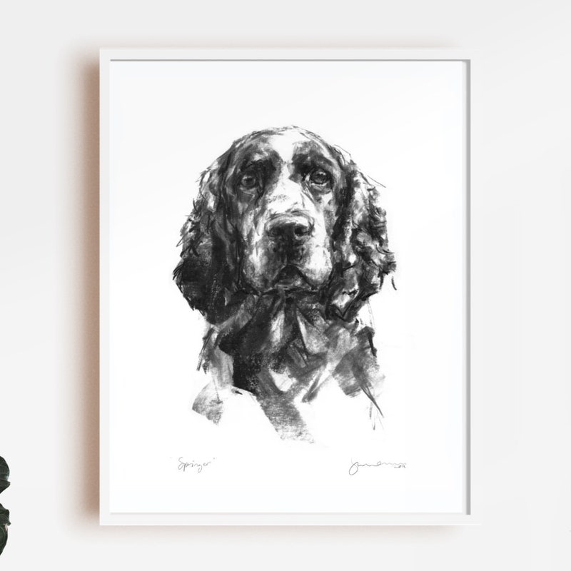 Springer Spaniel Art - Etsy