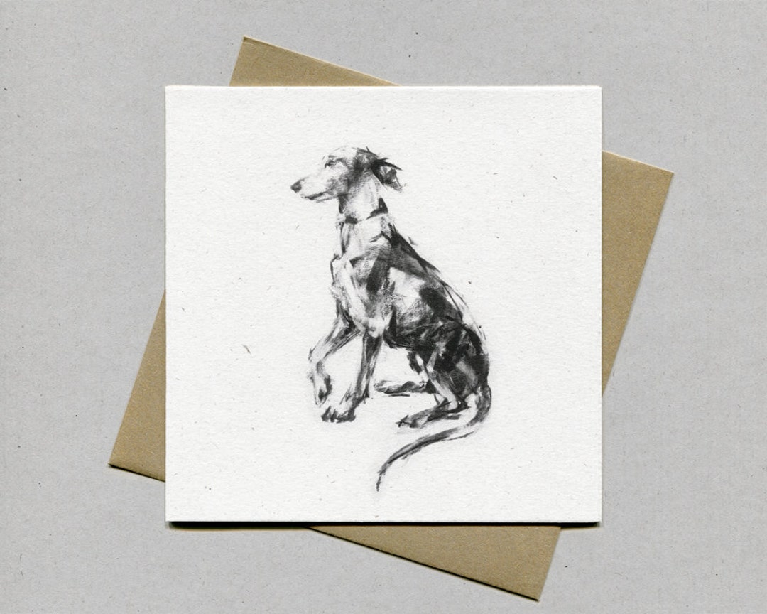 Whippet Begging, Whippet Greetings Card - Whippet Gift, Whippet Lover ...
