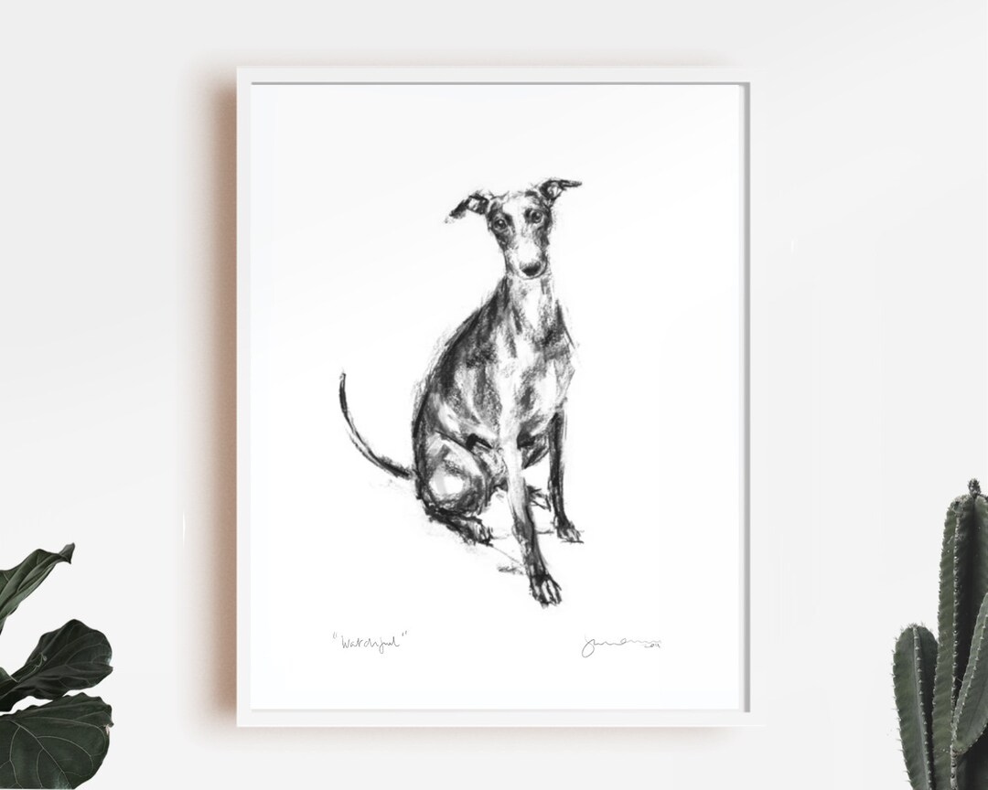 Dog Drawing Print, Watchful Whippet Art Print - Fine Art Dog Print ...