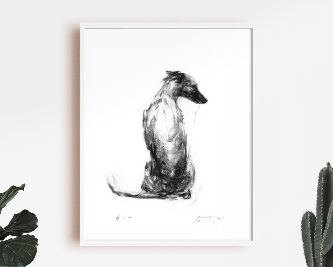 Whippet Sitting Print, Dog Drawing Print, Whippet Wall Art Print ...