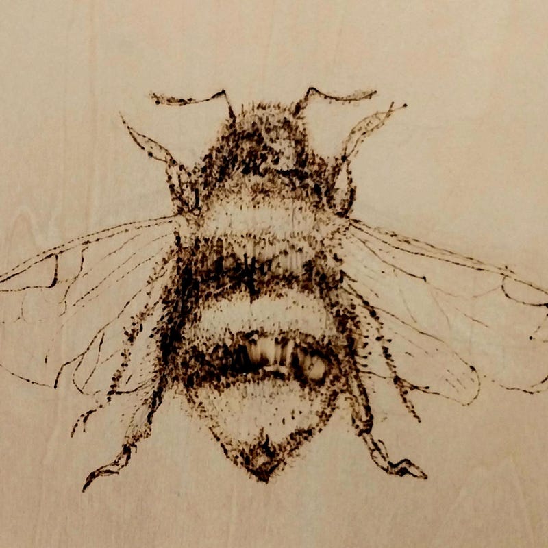 Pyrography Bee - Etsy
