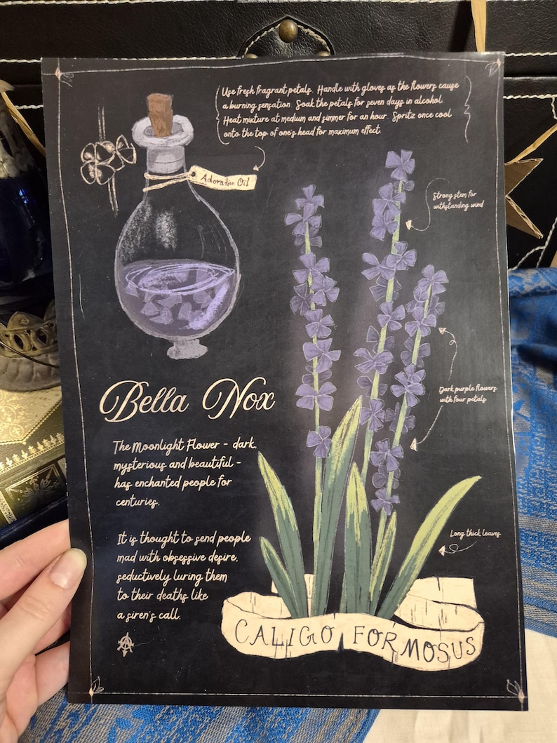 Bella Nox Art Print | Strange Horticulture Fan Art | Botanical ...