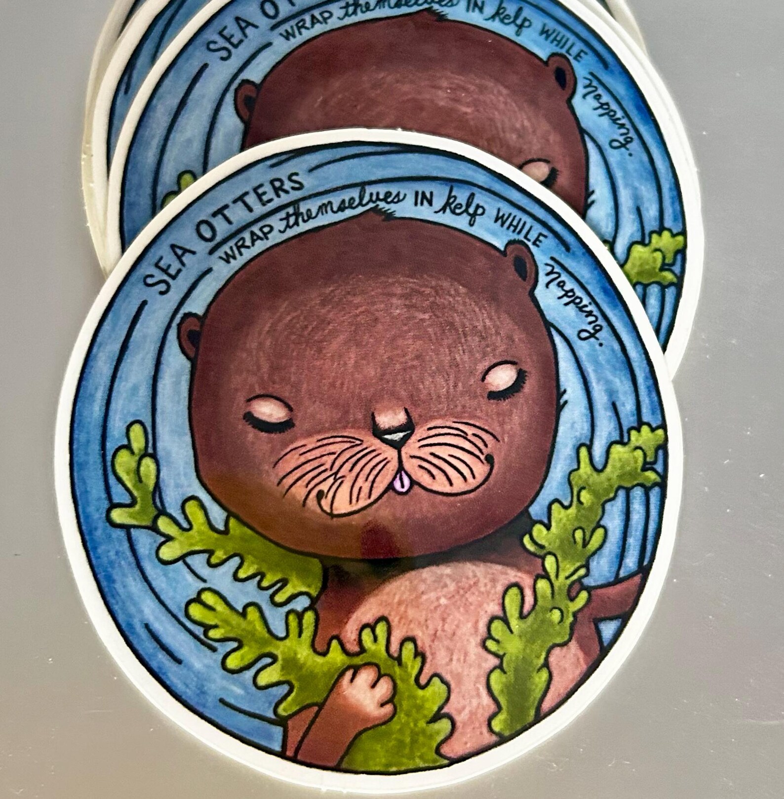 Little Sea Otter Sticker, A Fact About Sea Otters, Laptop, Water Bottle ...