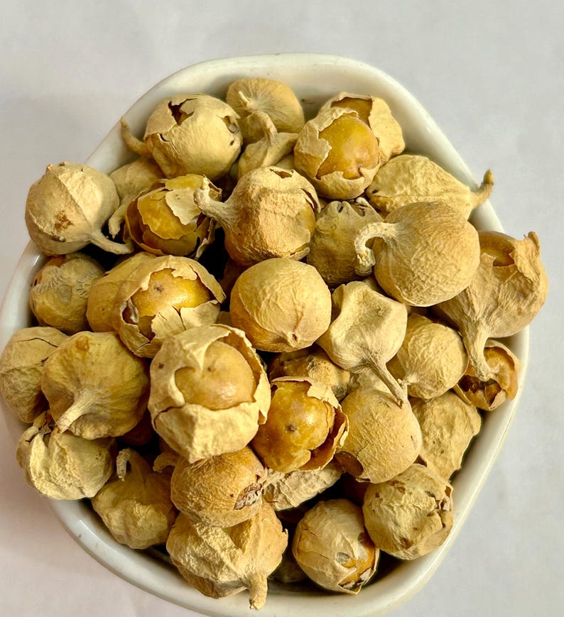 Paneer Dodi Whole,paneer Doda Whole,withania Coagulans,indian Rennet ...