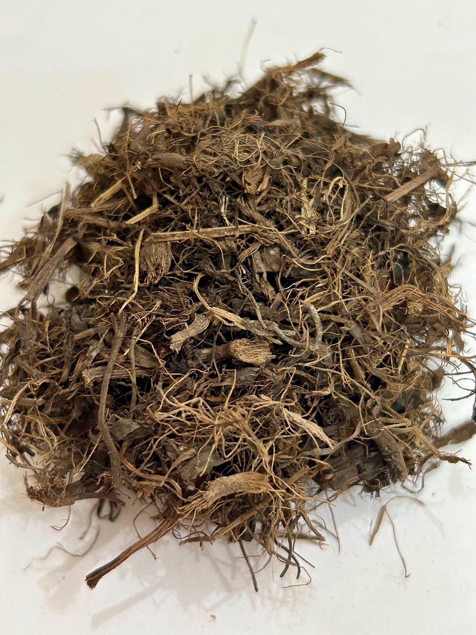 Pure Natural JATAMANSI Root, Spikenard, Muskroot II Balchar, Nardin ...