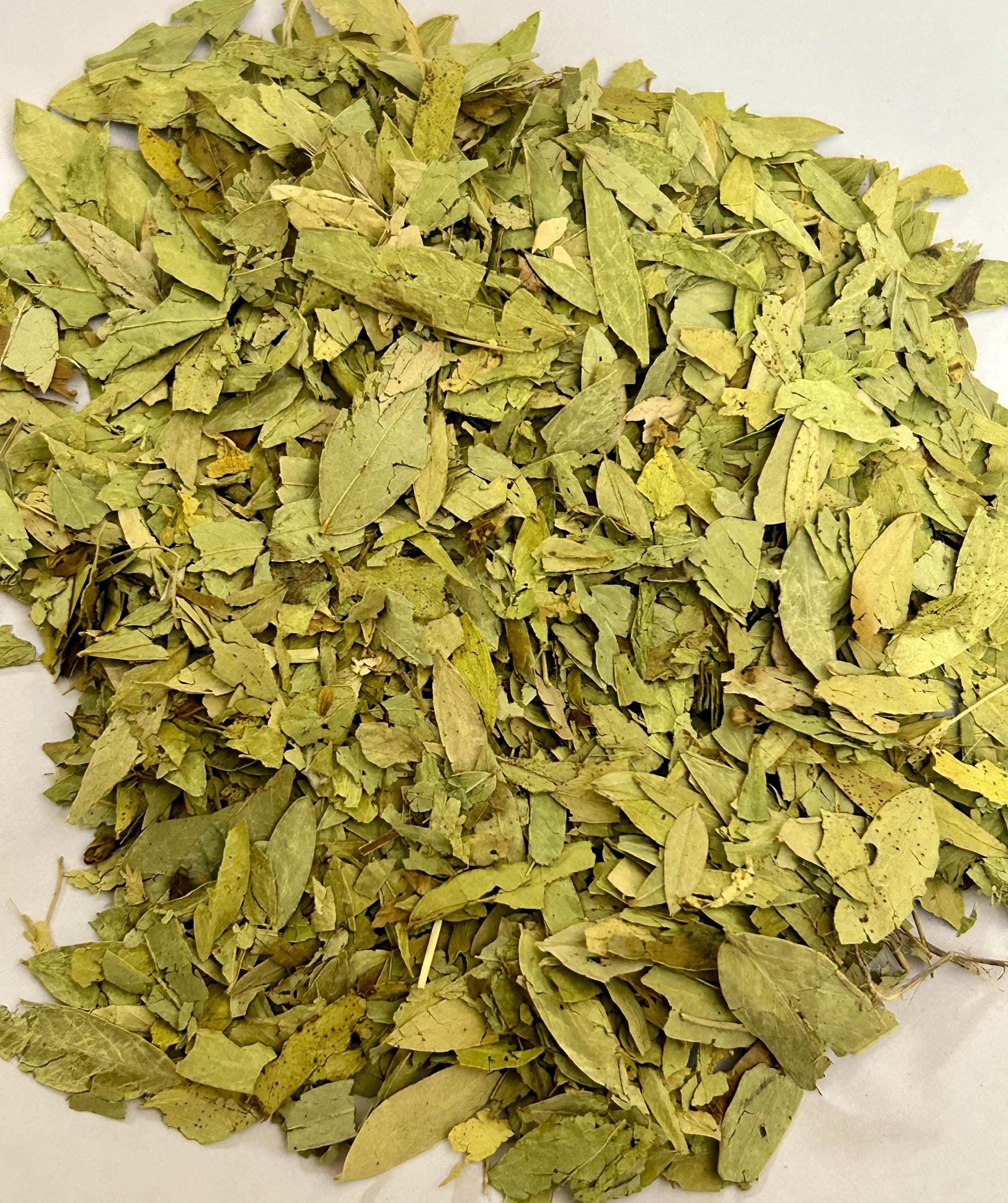 Senna Patta Powder,sonamukhi Leaves Leafs,sanay Senna Sona Patta,sanay ...