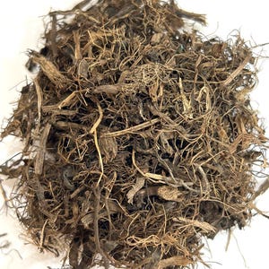 Pure Natural JATAMANSI Root, Spikenard, Muskroot II Balchar, Nardin ...