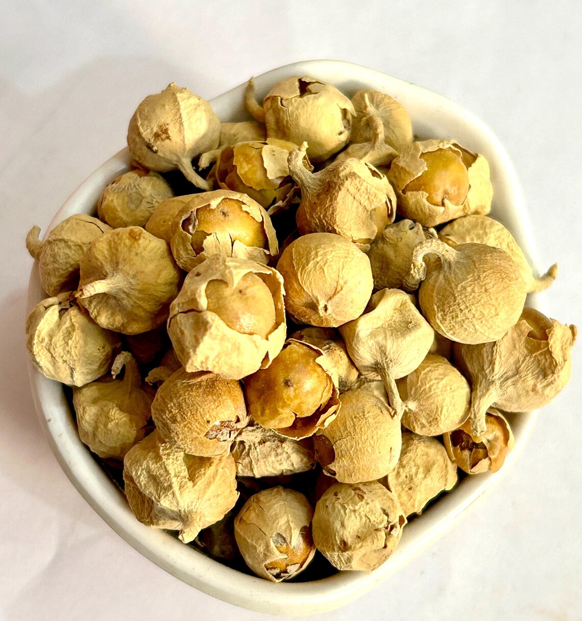 Paneer Dodi Whole,paneer Doda Whole,withania Coagulans,indian Rennet ...