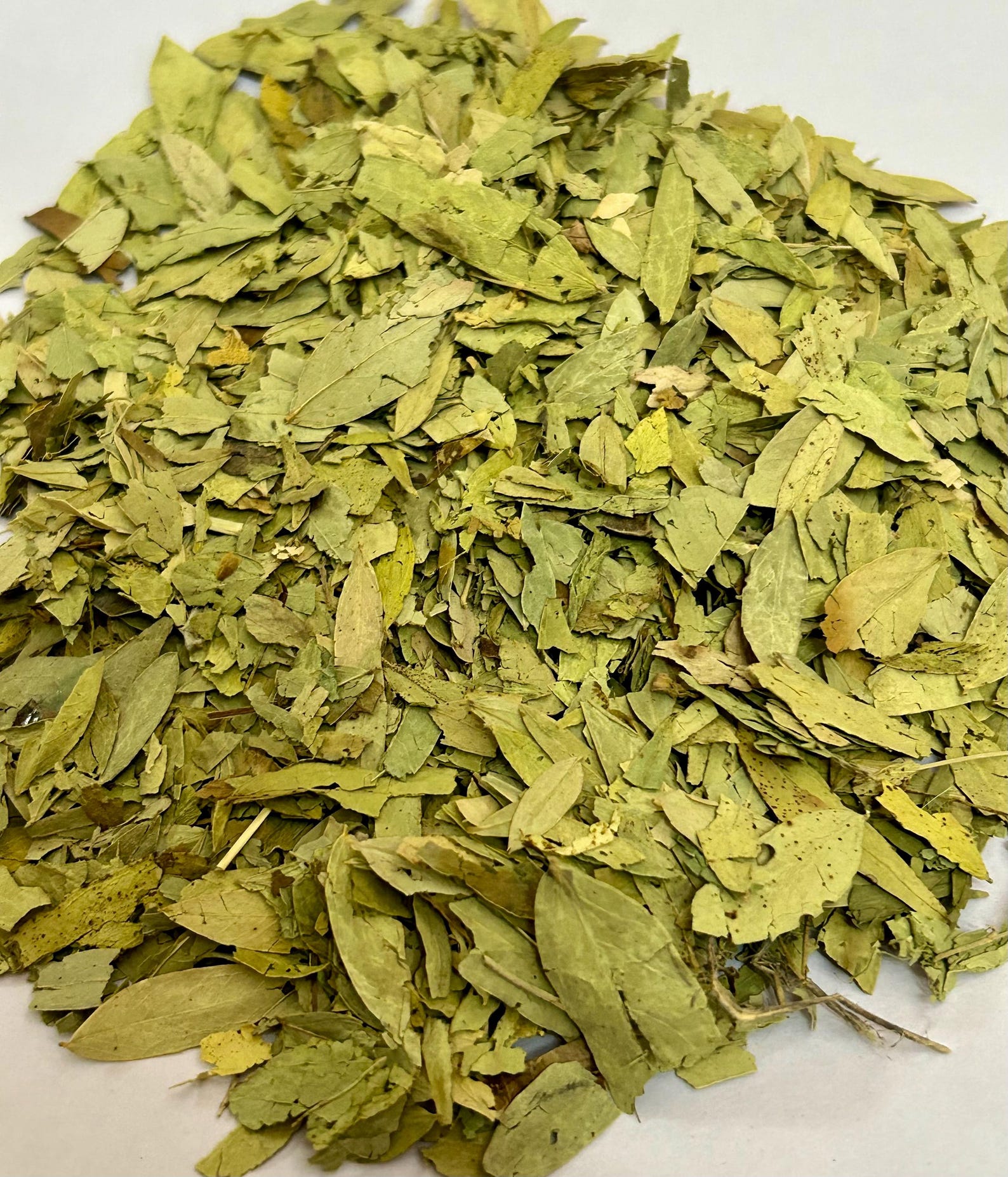 Senna Patta Powder,sonamukhi Leaves Leafs,sanay Senna Sona Patta,sanay ...