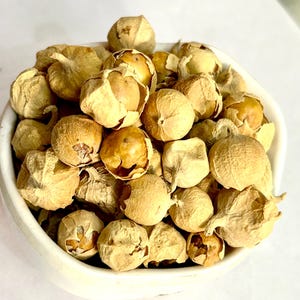 Paneer Dodi Whole,paneer Doda Whole,withania Coagulans,indian Rennet ...