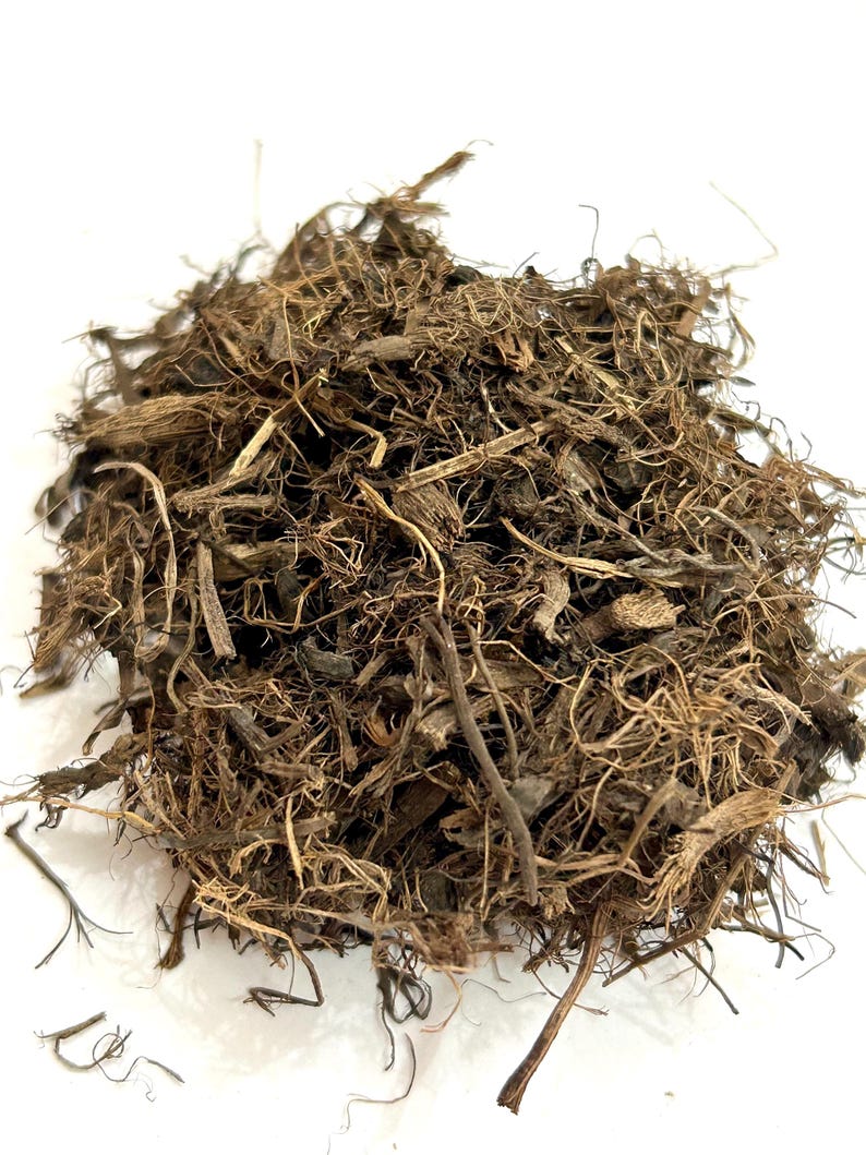 Pure Natural JATAMANSI Root, Spikenard, Muskroot II Balchar, Nardin ...
