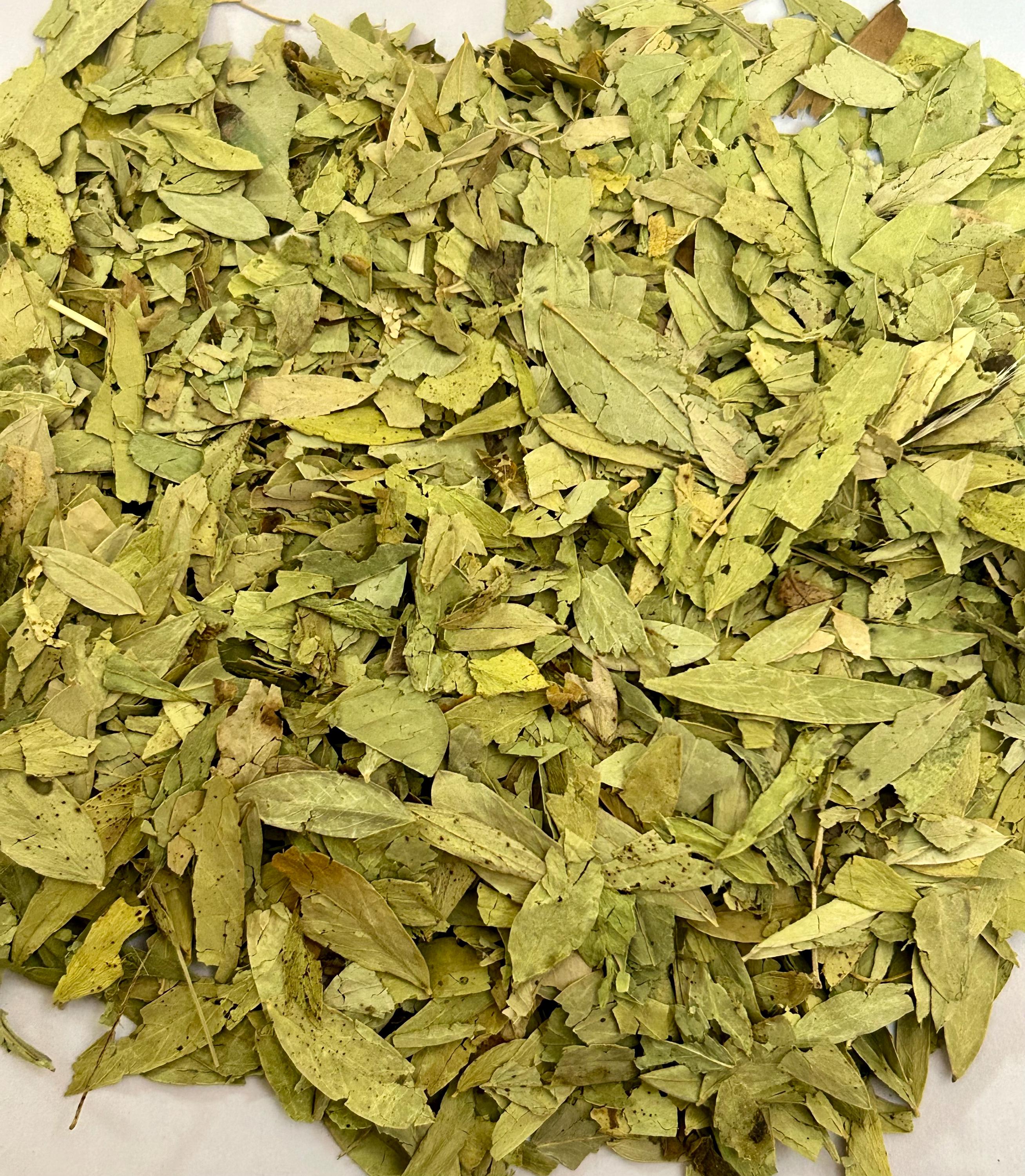 Senna Patta Powder,sonamukhi Leaves Leafs,sanay Senna Sona Patta,sanay ...
