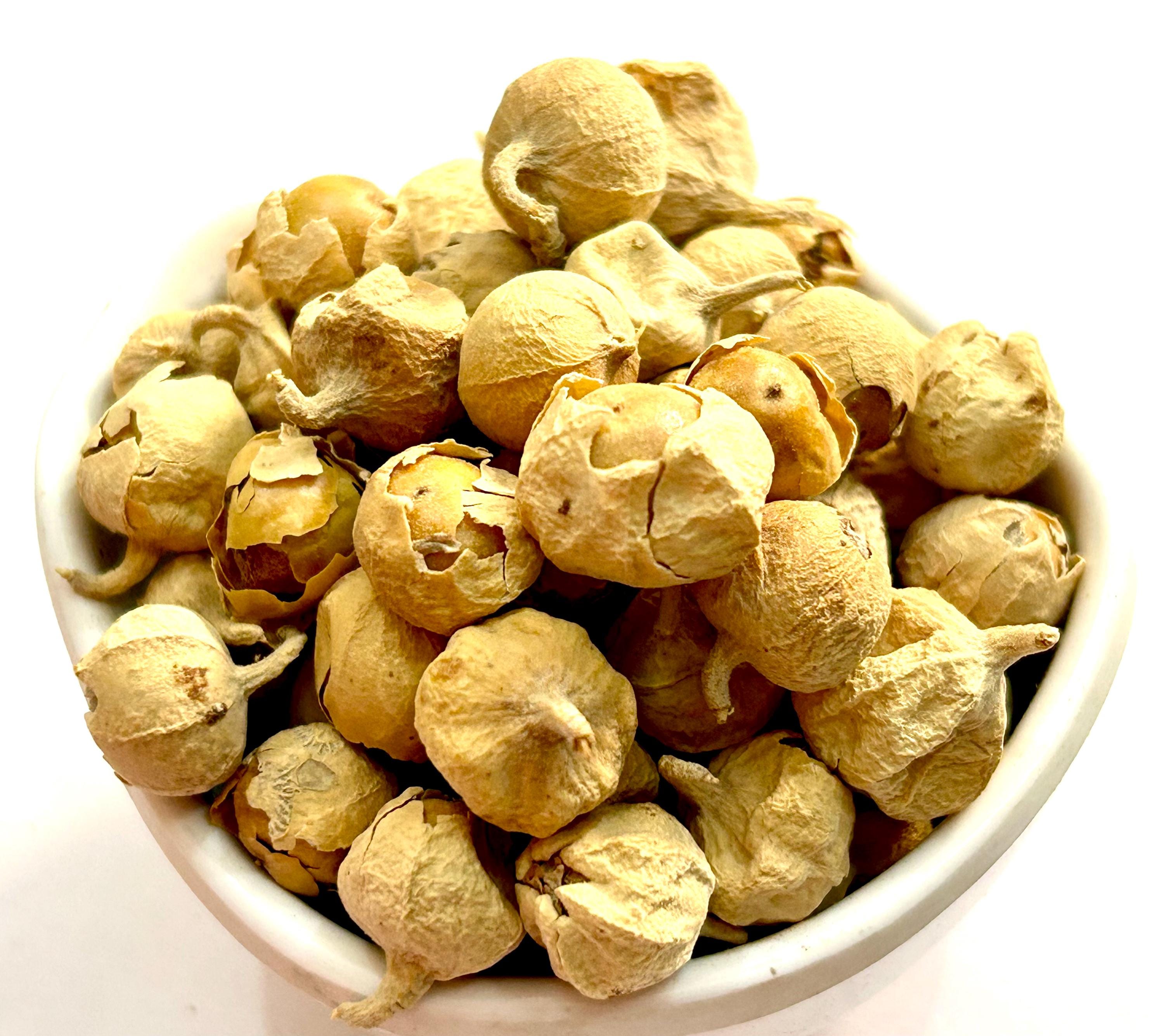 Paneer Dodi Whole,paneer Doda Whole,withania Coagulans,indian Rennet ...