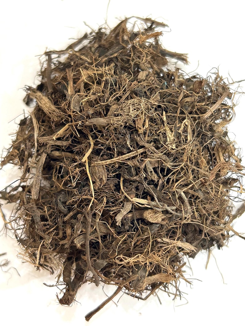 Pure Natural JATAMANSI Root, Spikenard, Muskroot II Balchar, Nardin ...