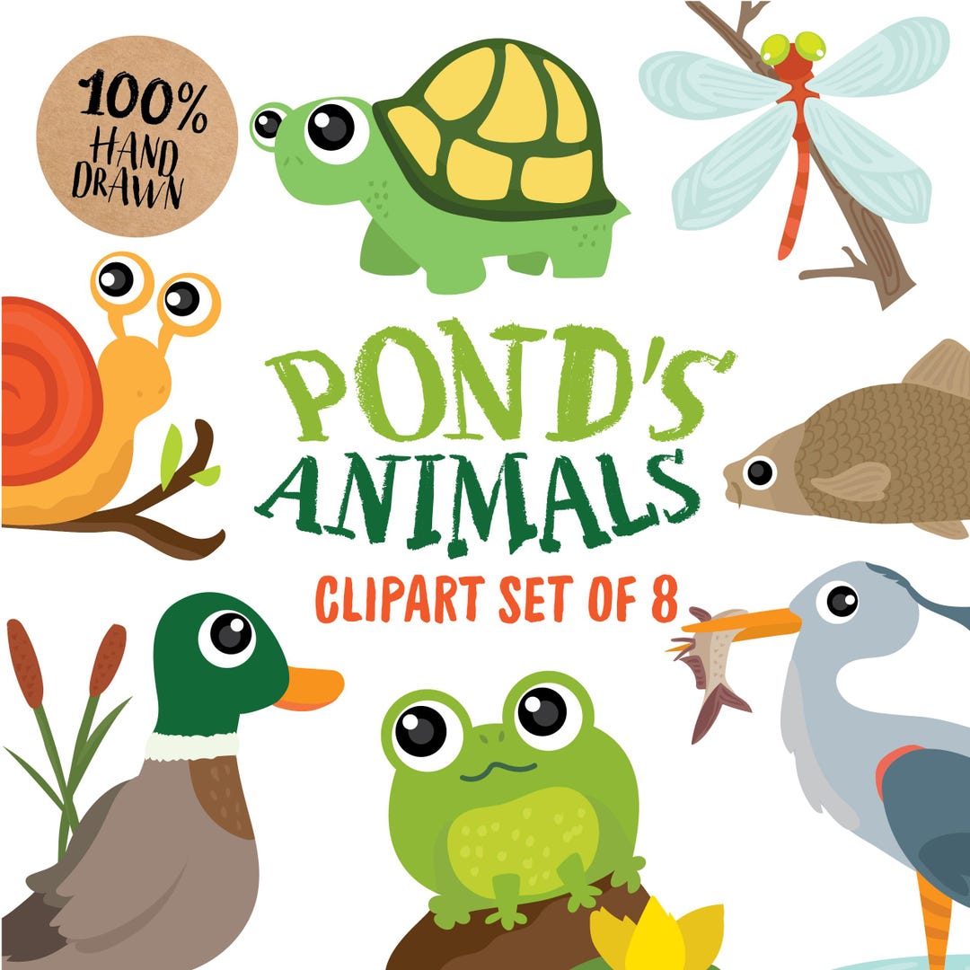 Pond's Life Clipart Set - Etsy