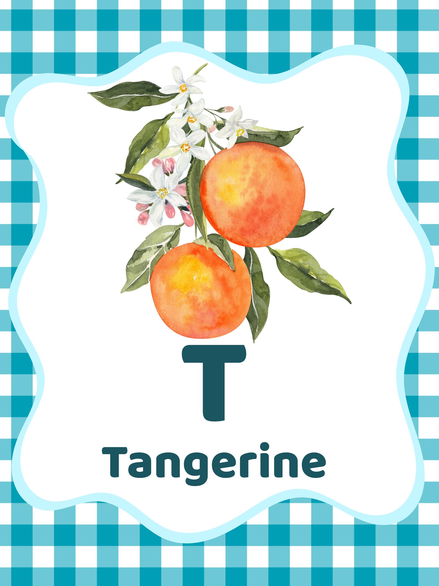 A–Z Fruit Alphabet Poster - Etsy