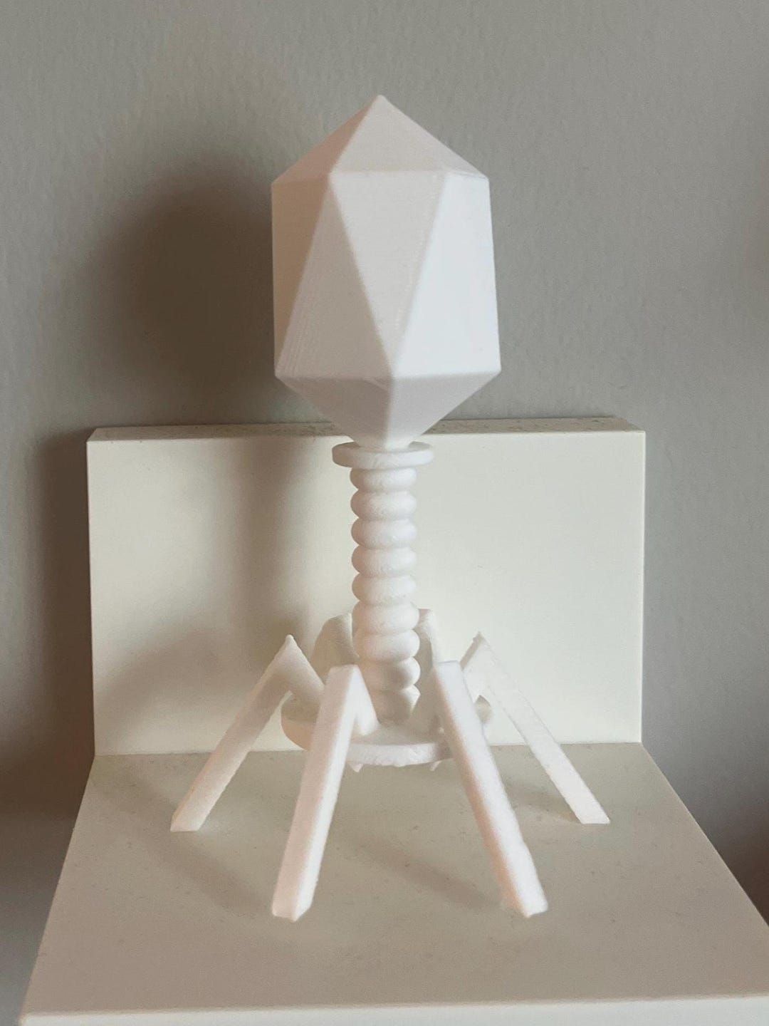 Bacteriophage Model | T-4 Phage | Desk Decor | Science Lover ...