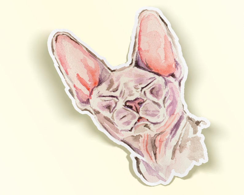 Sphynx Cat Sticker Sphynx Cat Die Cut Vinyl Sticker Hairless - Etsy