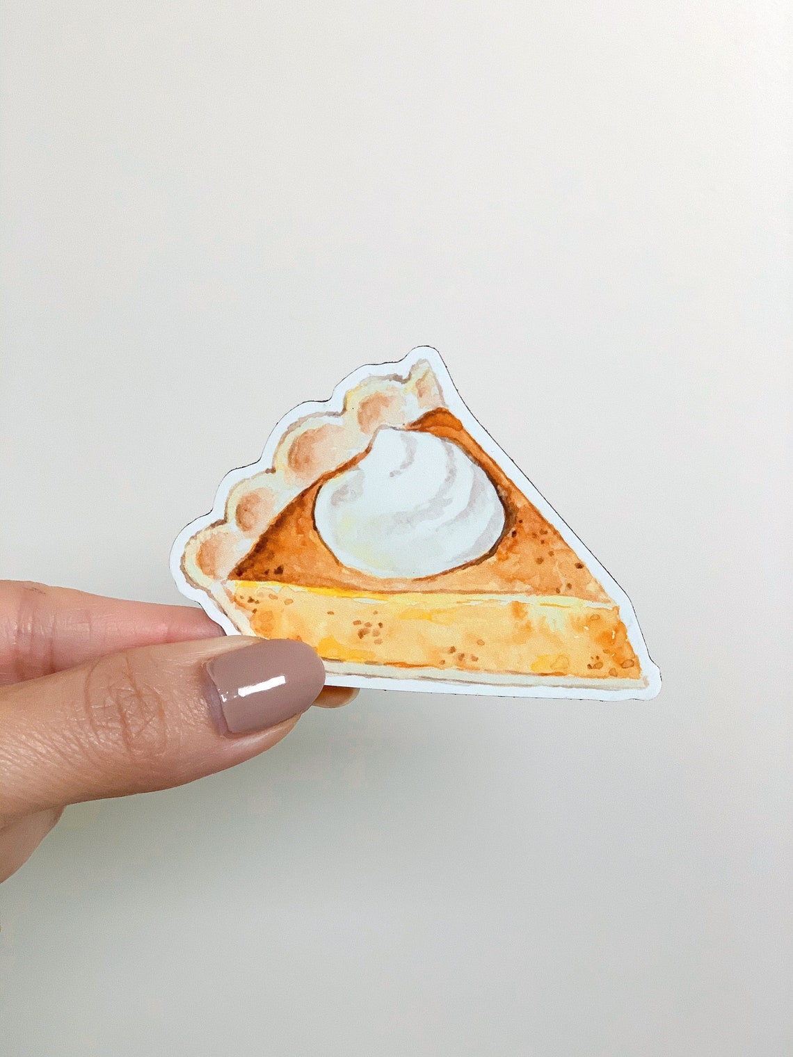 Pumpkin Pie Sticker Fall Vinyl Sticker Autumn Stickers Cute | Etsy