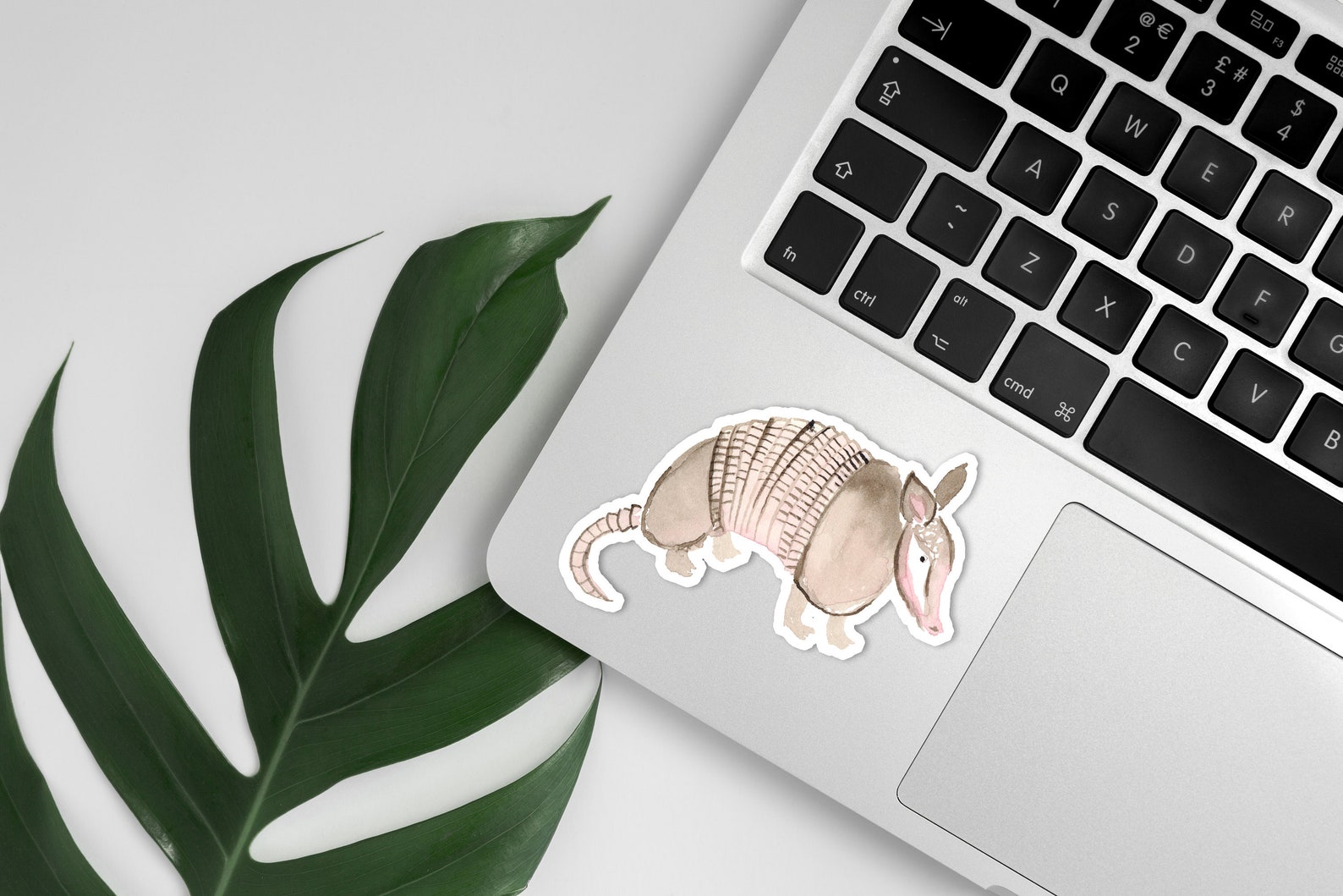 Armadillo Vinyl Sticker Texas Decal Texas Vinyl Stickers | Etsy