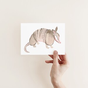 Armadillo Print Armadillo Wall Art Armadillo Poster Texas - Etsy