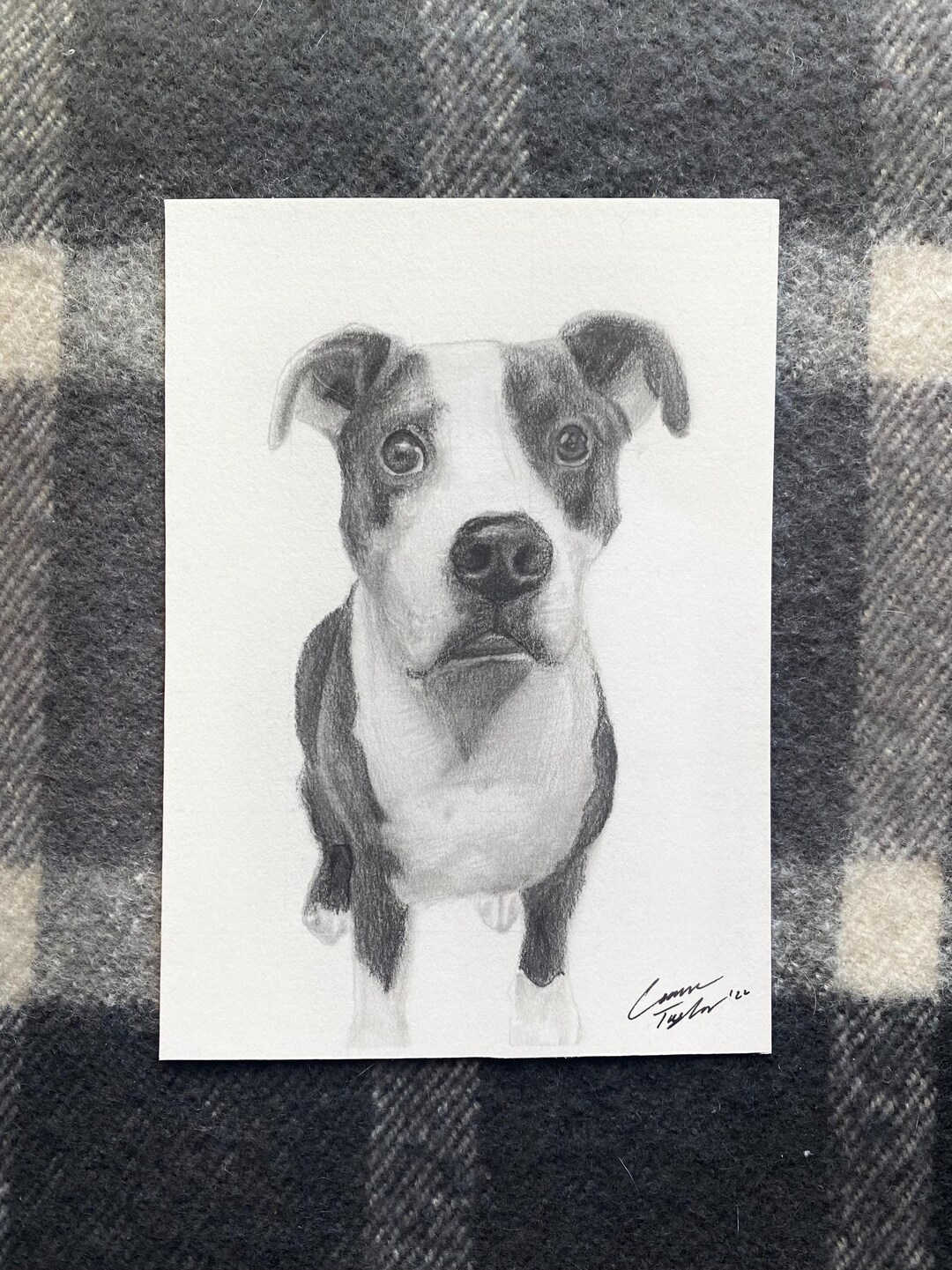 Custom Graphite & Charcoal Pet Portraits | Hand-drawn, Made to Order ...