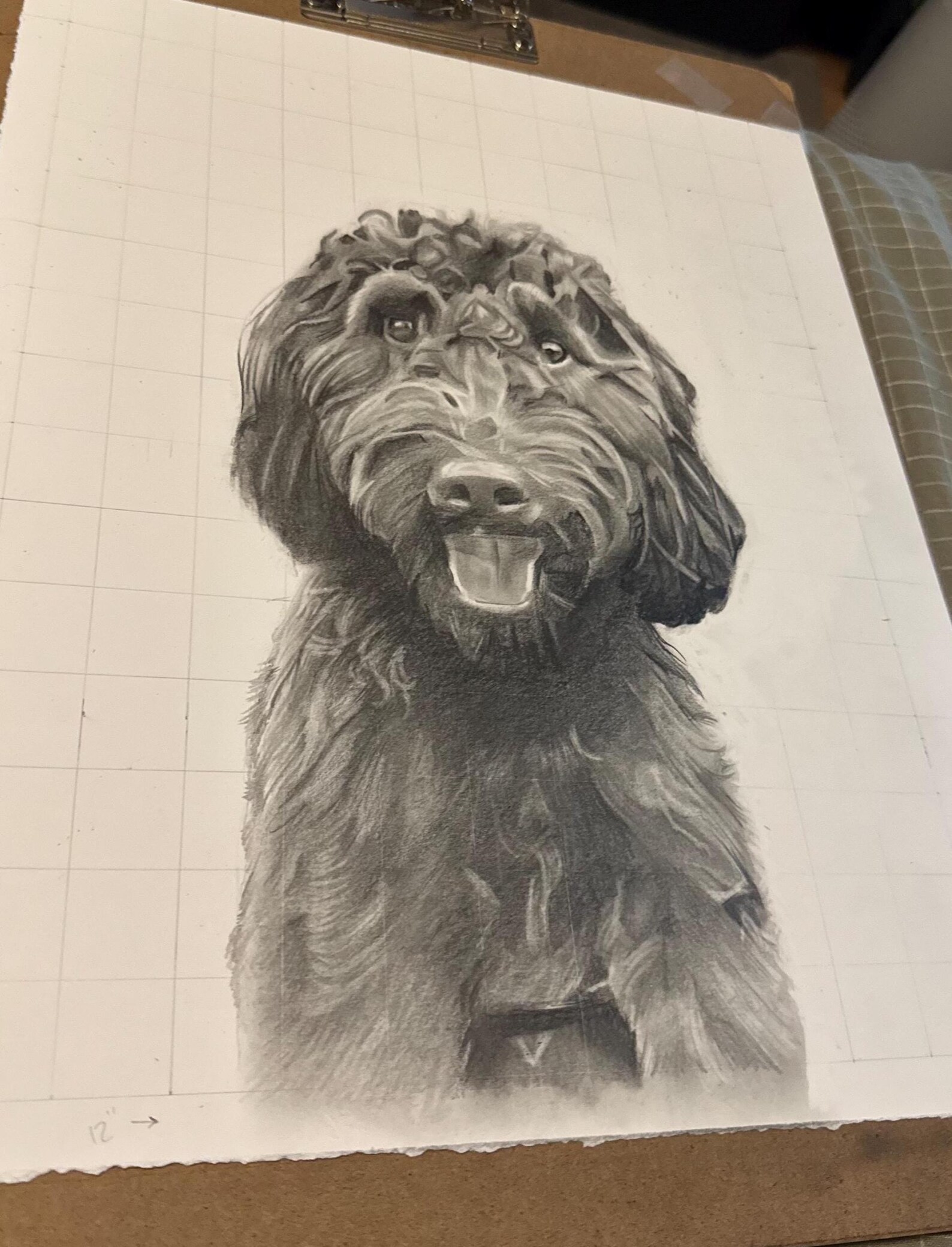 Custom Graphite & Charcoal Pet Portraits | Hand-drawn, Made to Order ...