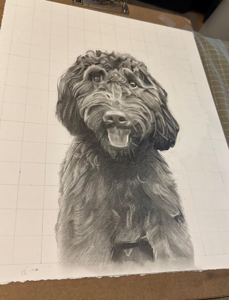 Custom Graphite & Charcoal Pet Portraits | Hand-drawn, Made to Order ...