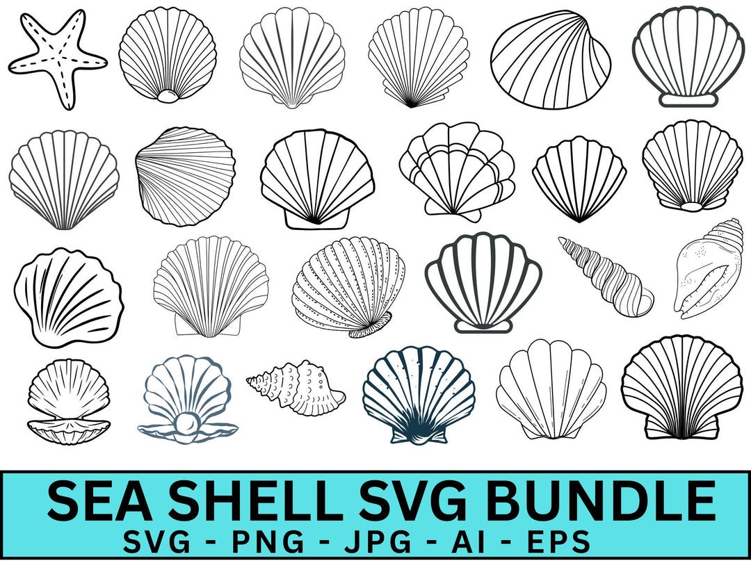 Seashell SVG Bundle: Clipart, Vector, Silhouette (instant Download - Etsy