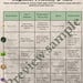 Herbal Remedies Chart — Beginner Friendly & Safe- PDF Printable - Etsy