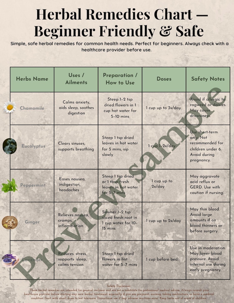 Herbal Remedies Chart Printable | Beginner Friendly & Safe Herbal Guide ...