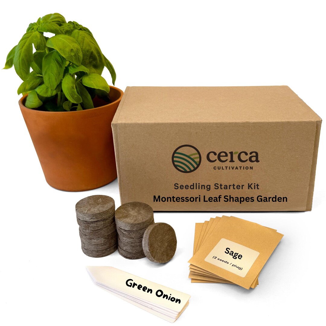 Montessori Leaf Shapes Plant Starter Kit | Botany Cabinet Aligned ...